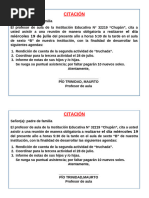 Citatorio 2025 | PDF