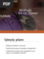 Tatarcik | PDF