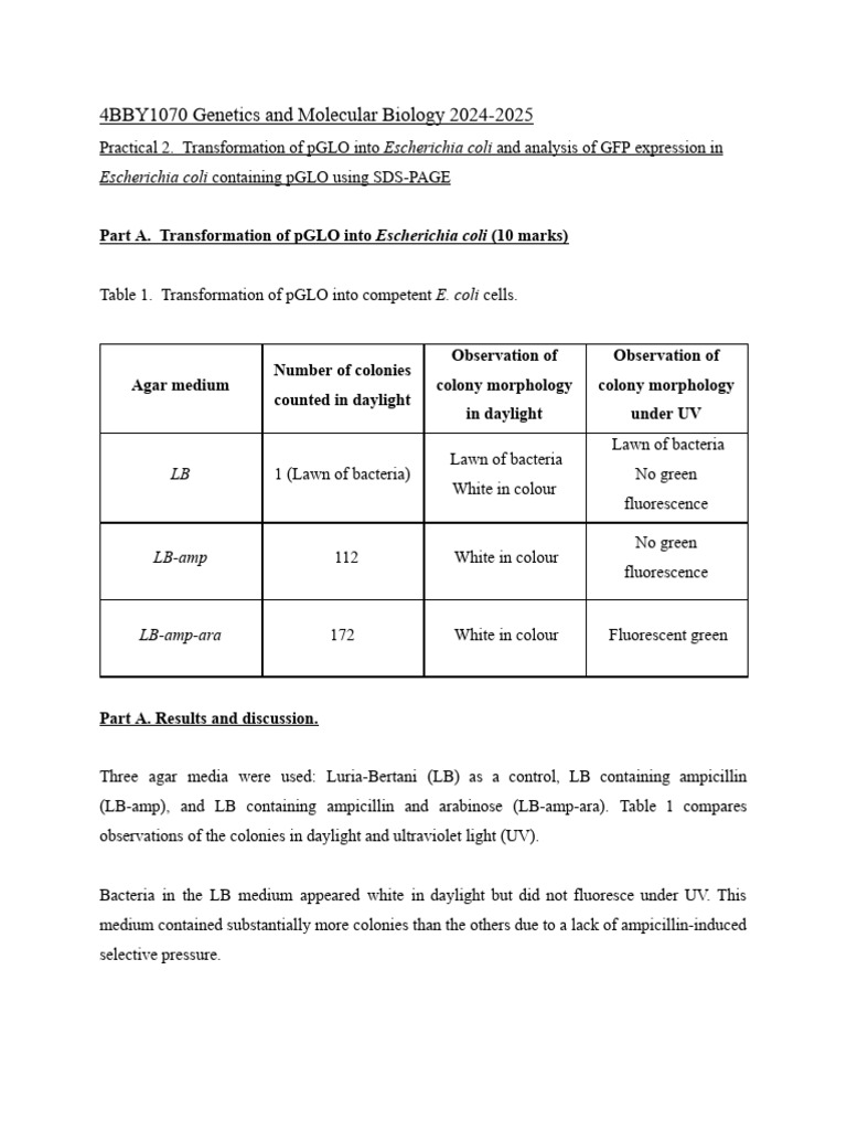 PGLO Practical Summative Proforma - 4BBY1070 Genetics and Molecular Biology 2024-2025 | PDF ...