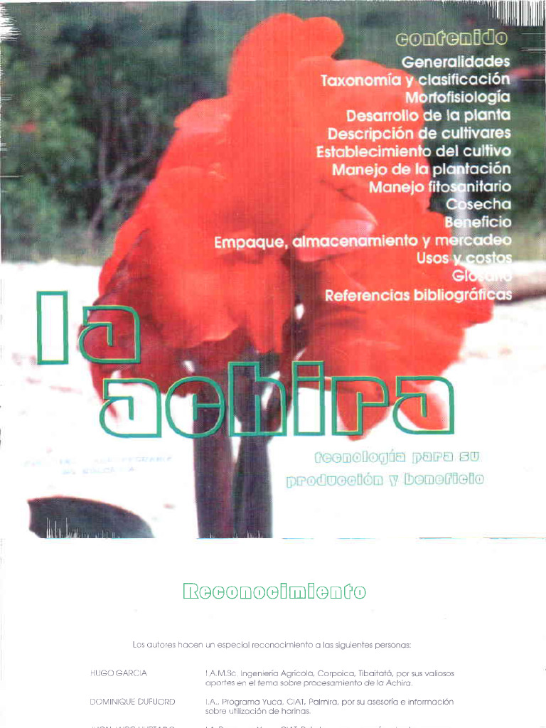 Propiedades y Beneficios de La Achira | PDF