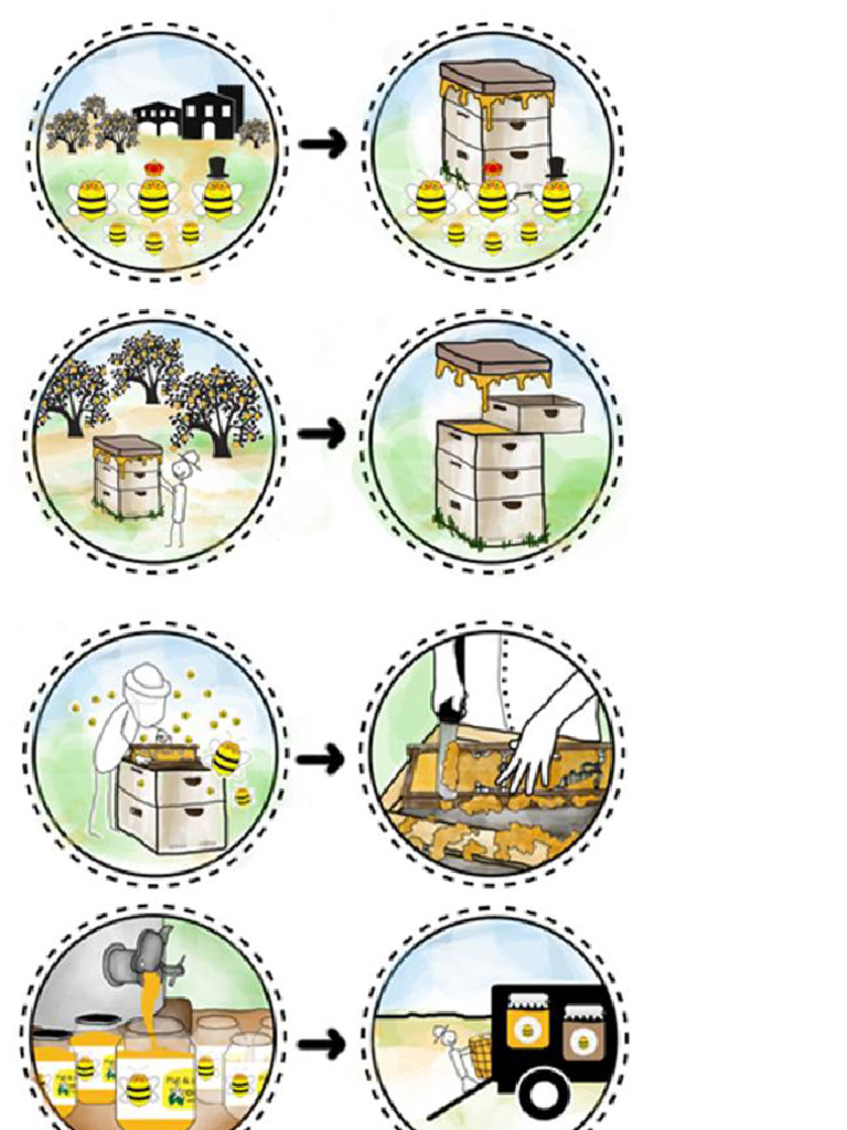 Proceso de La Miel | PDF