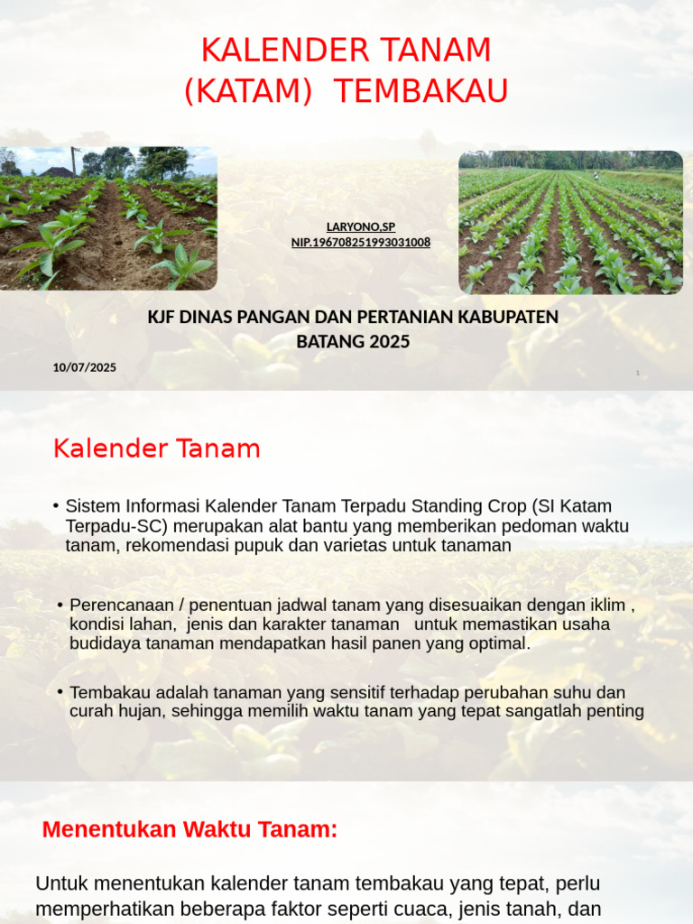 Laryono SP - Kalender Tanam Tembakau | PDF