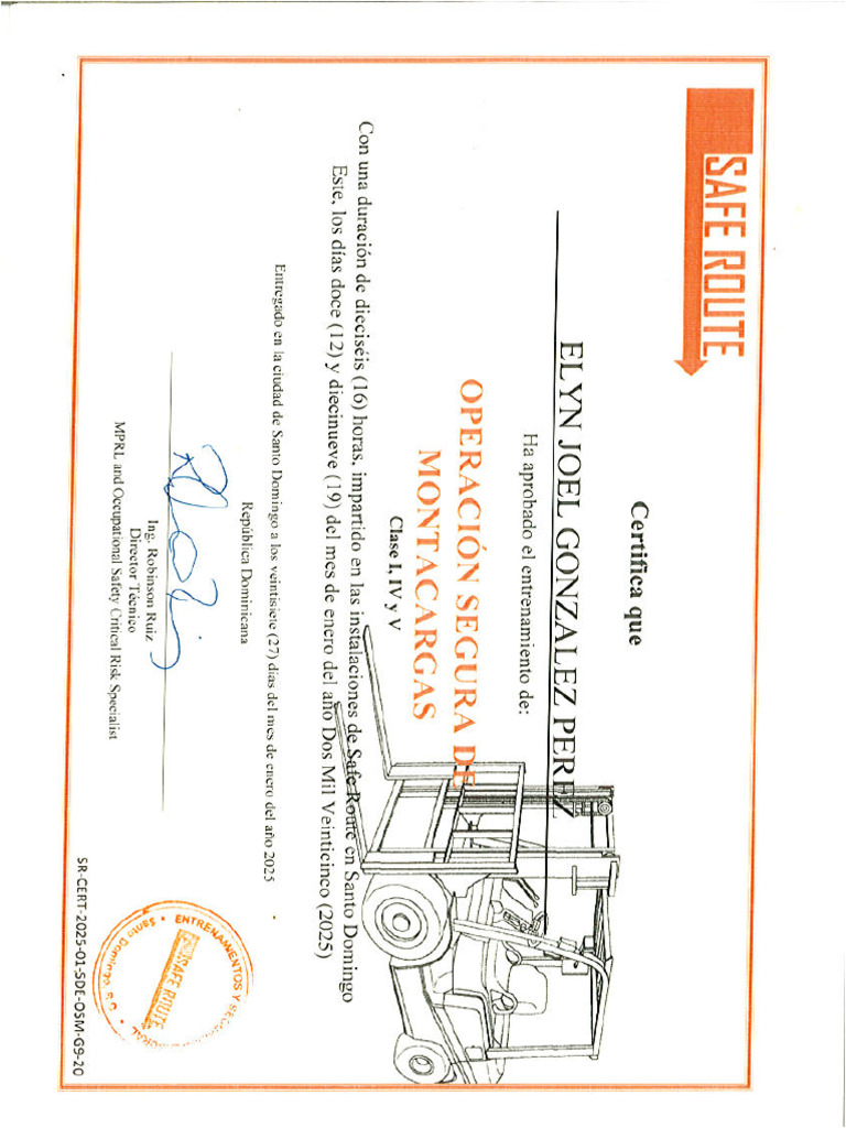 Certificado Elyn Soto | PDF