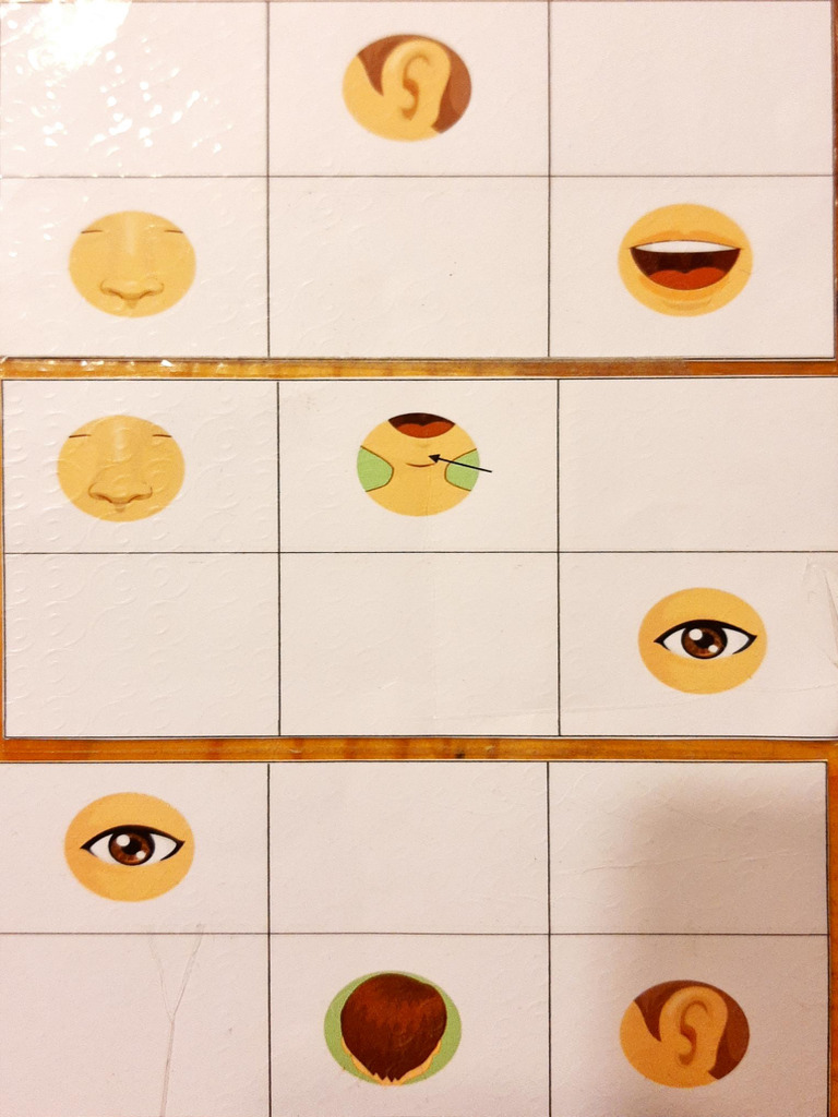 Bingo Partes Del Cuerpo Pdf