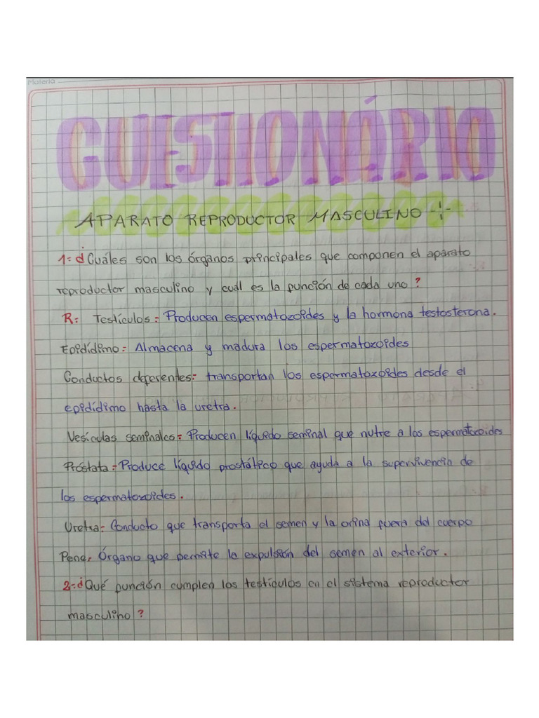 Carrasco Flores Fernanda Camil Nro5 | PDF