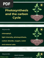 Photosynthesis Overview for Class 10 | PDF