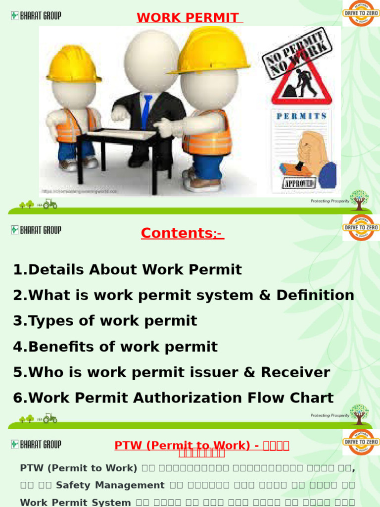 Work Permit | PDF