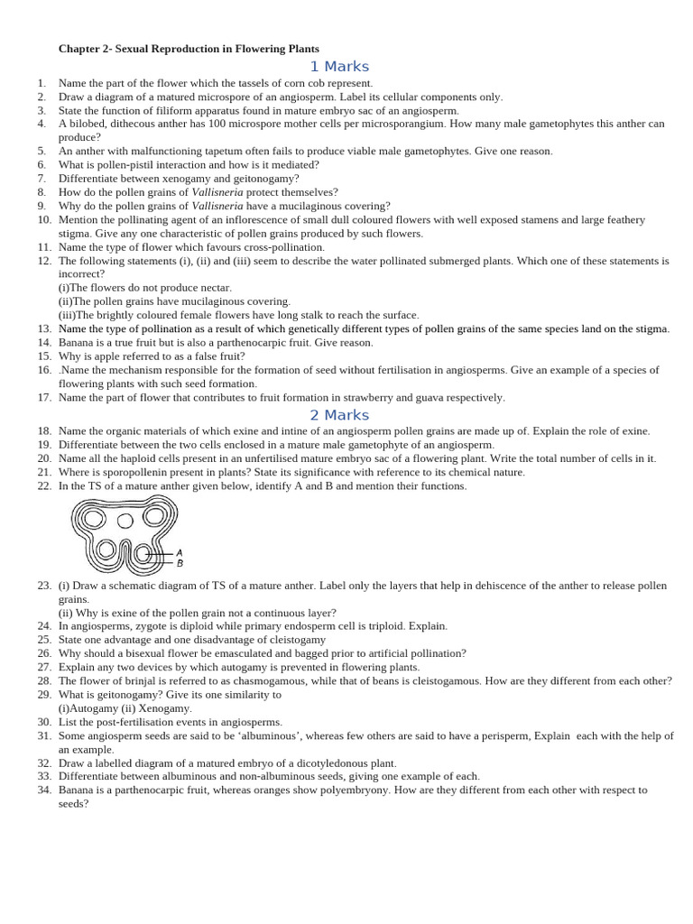 Sexual Reproduction in Flowering Plants | PDF | Seed | Fruit