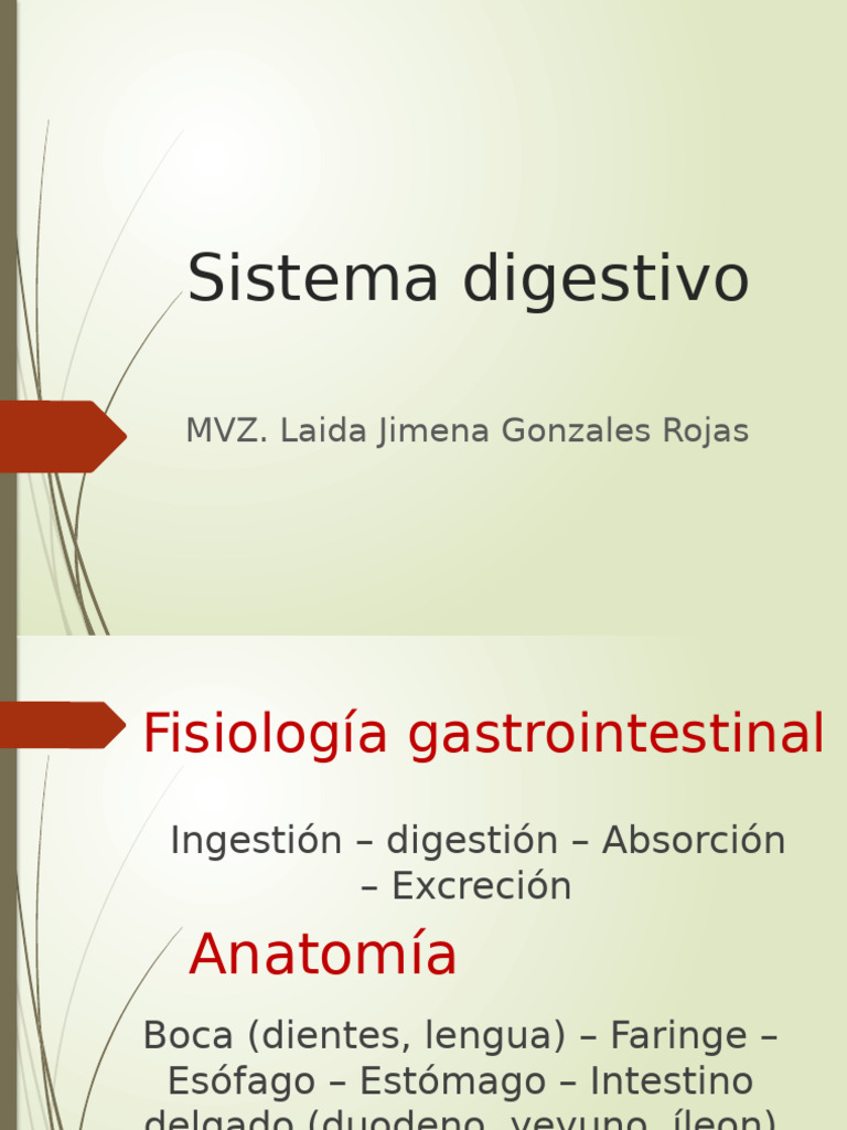 Sistema Digestivo | PDF | Digestión | Sistema digestivo humano