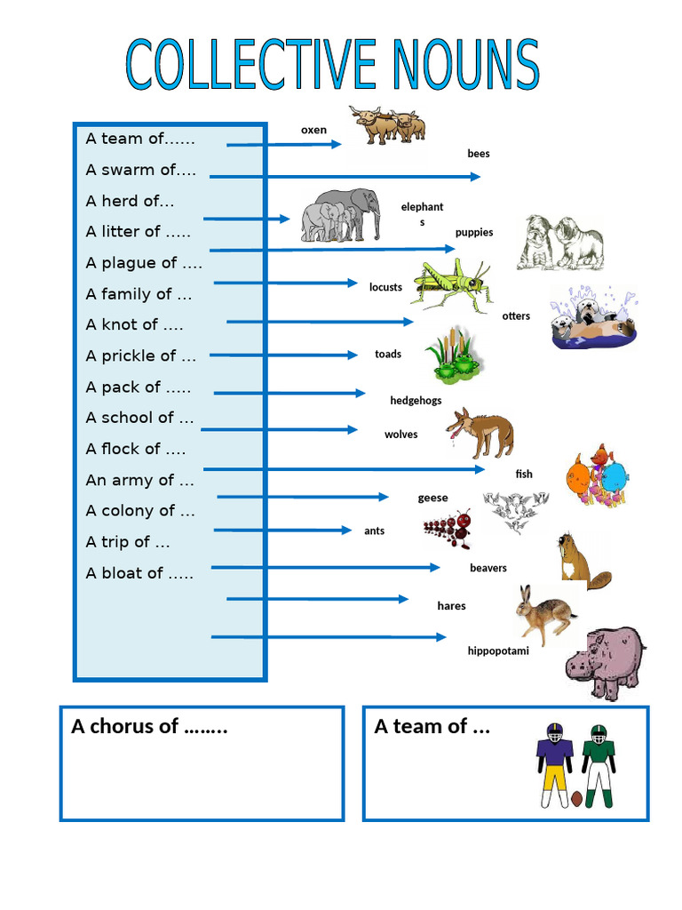 Collective Nouns Warmers Coolers 35923 | PDF