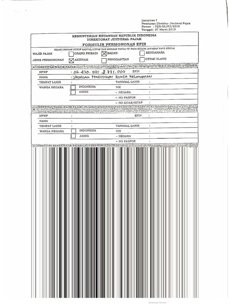 Formulir Efin | PDF
