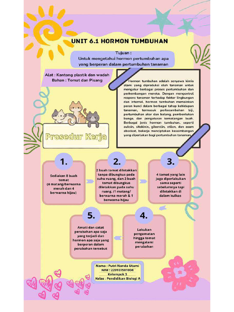 Putri Nanda Utami 2 | PDF