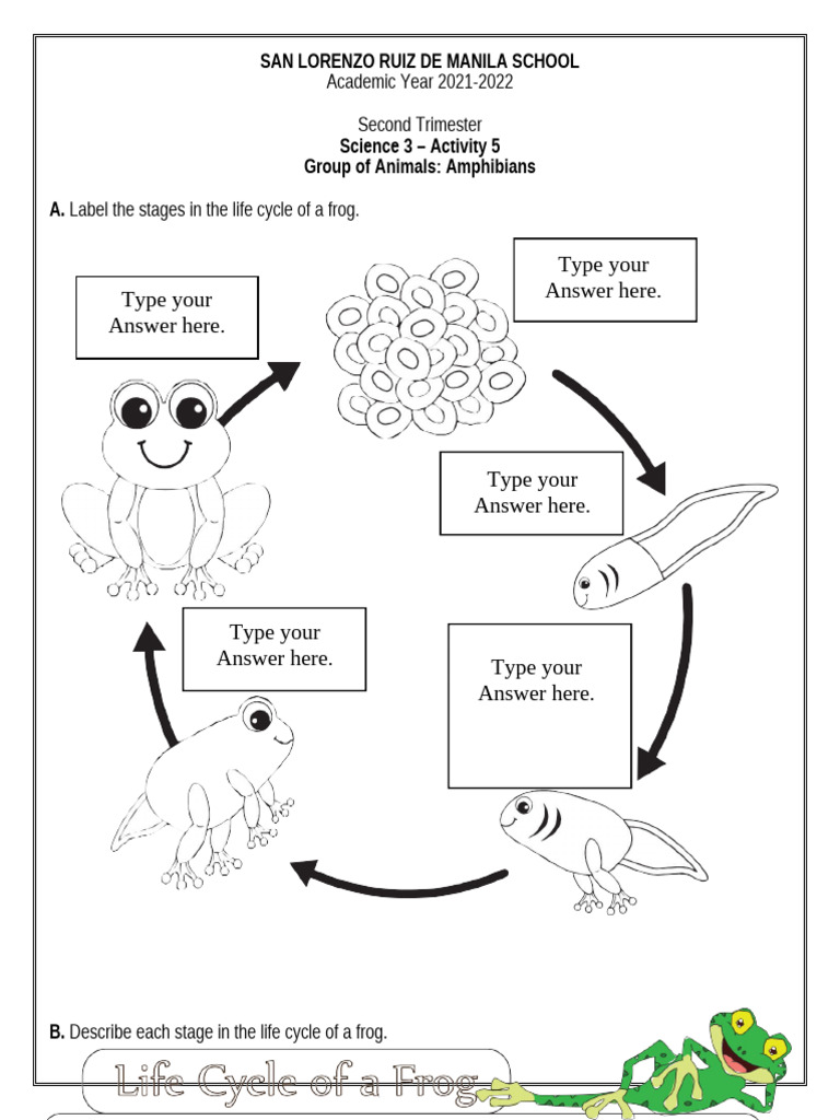 Activity 5 | PDF