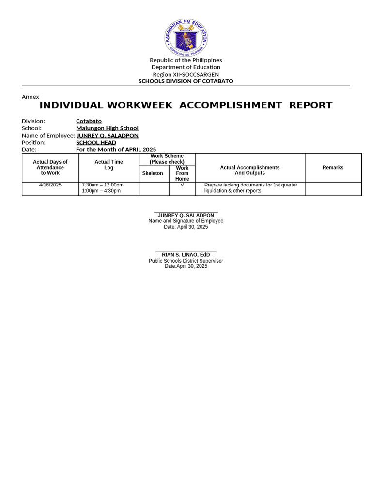 Individual Workweek Accomplishment Report | PDF
