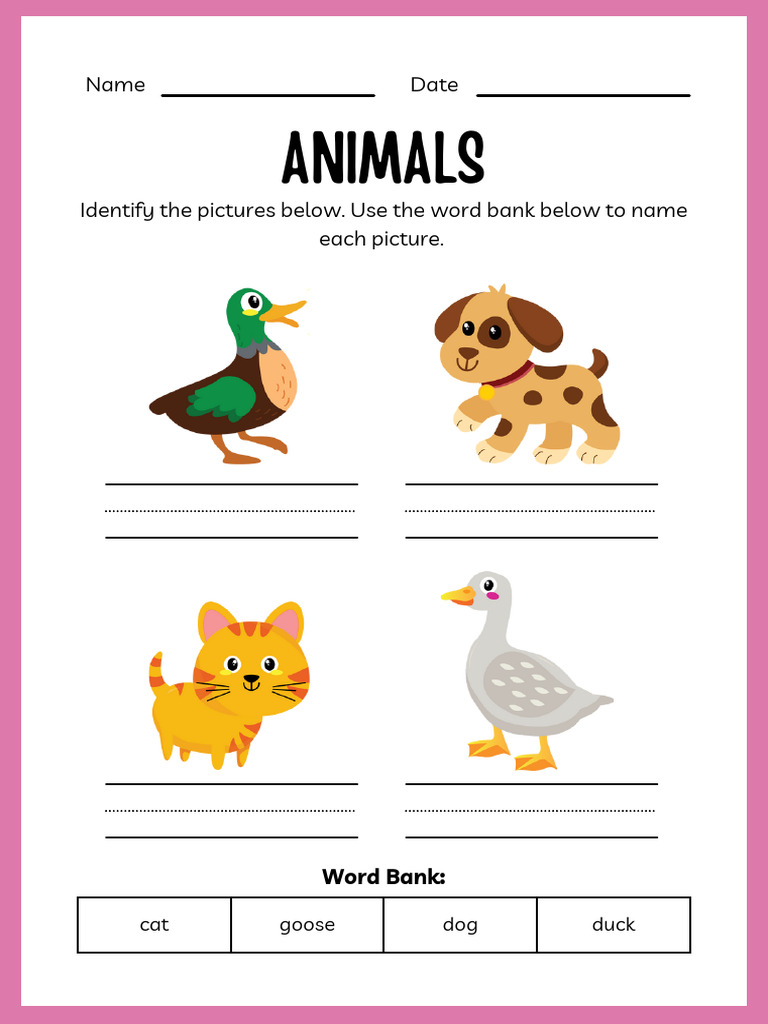 ESL Animals Kindergarten Workbook in Colourful Illustrative Style | PDF
