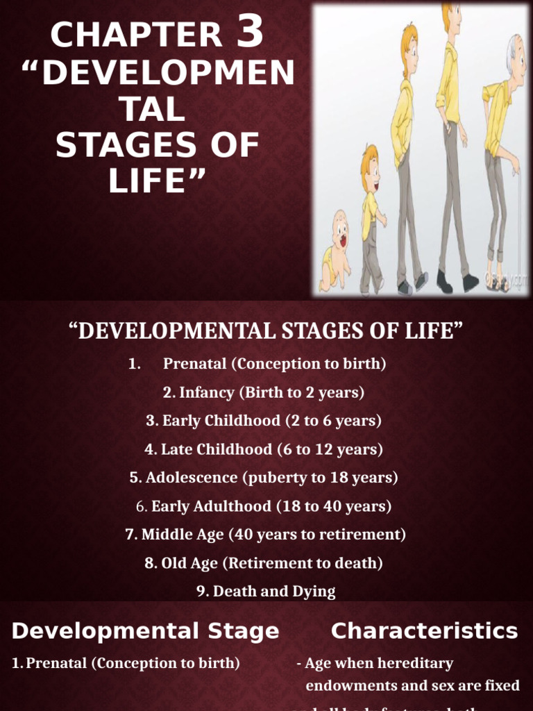 Chapter 3 - Developmental Stages of Life-1 | PDF | Adolescence | Early ...