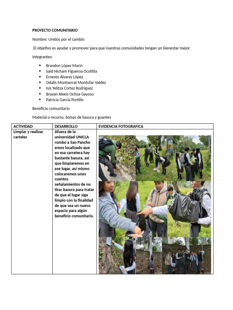 Proyecto Comunitario Final | PDF
