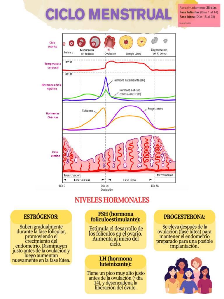 Resuemen de Biologia Del Desarrollo - Desarrollo Embrionario | PDF ...