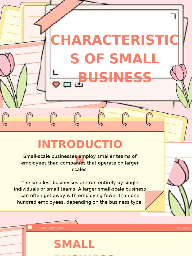 Characteristics of Small Businesses | PDF | Limited Liability Company ...