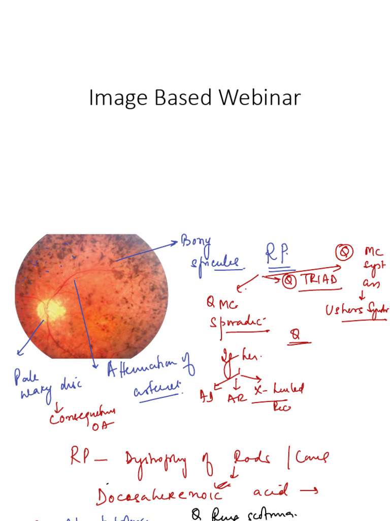 50images Ophtha | PDF
