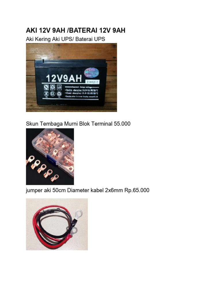 Aki 12V 9ah | PDF