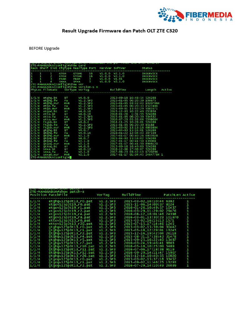 ZTE F609 Firmware Upgrade Guide | PDF