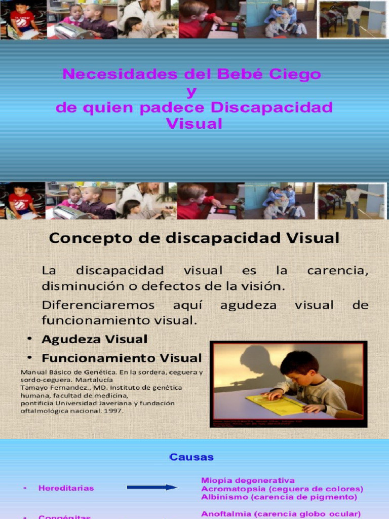 Discapacidad Visual | PDF