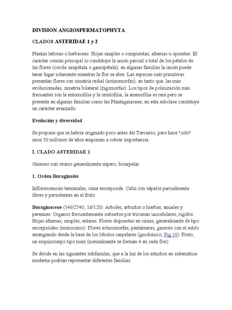 Division Angiospermatophyta | PDF | Romero | Horticultura y jardinería