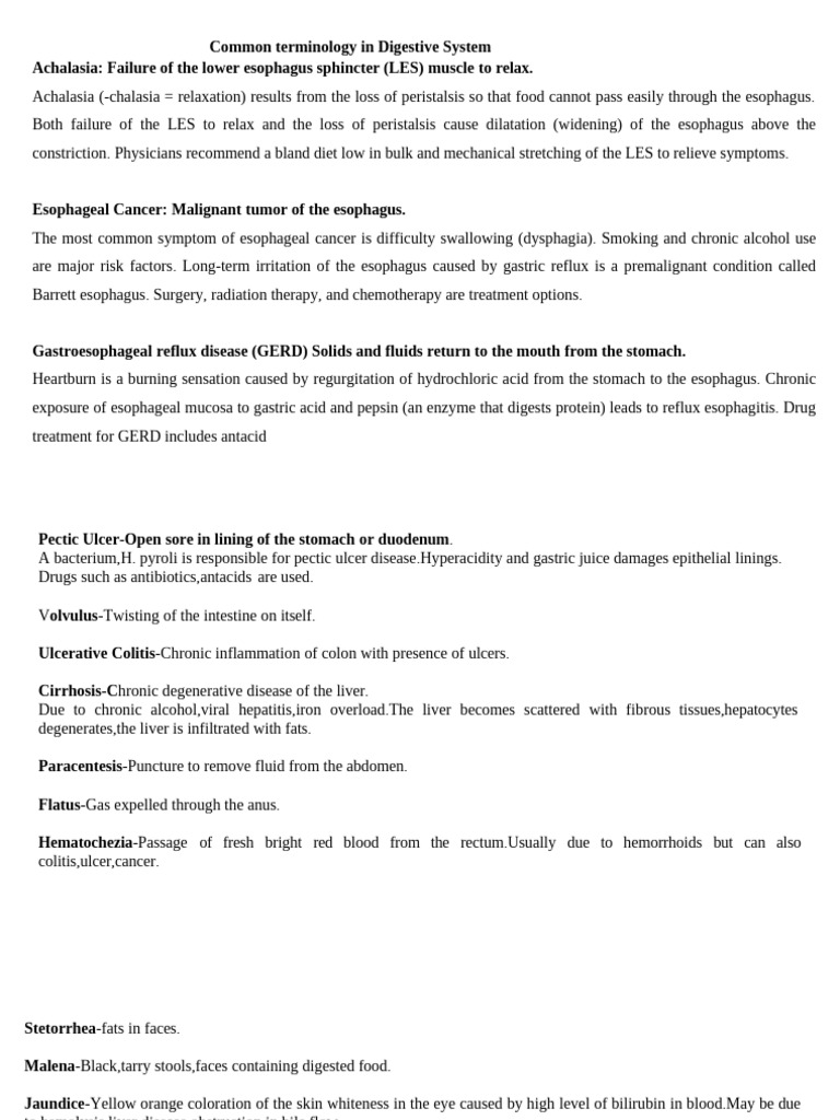 Digestive System Terminology Explained | PDF | Esophagus ...
