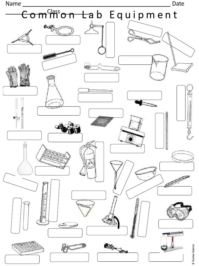 Common Lab Equipment | PDF
