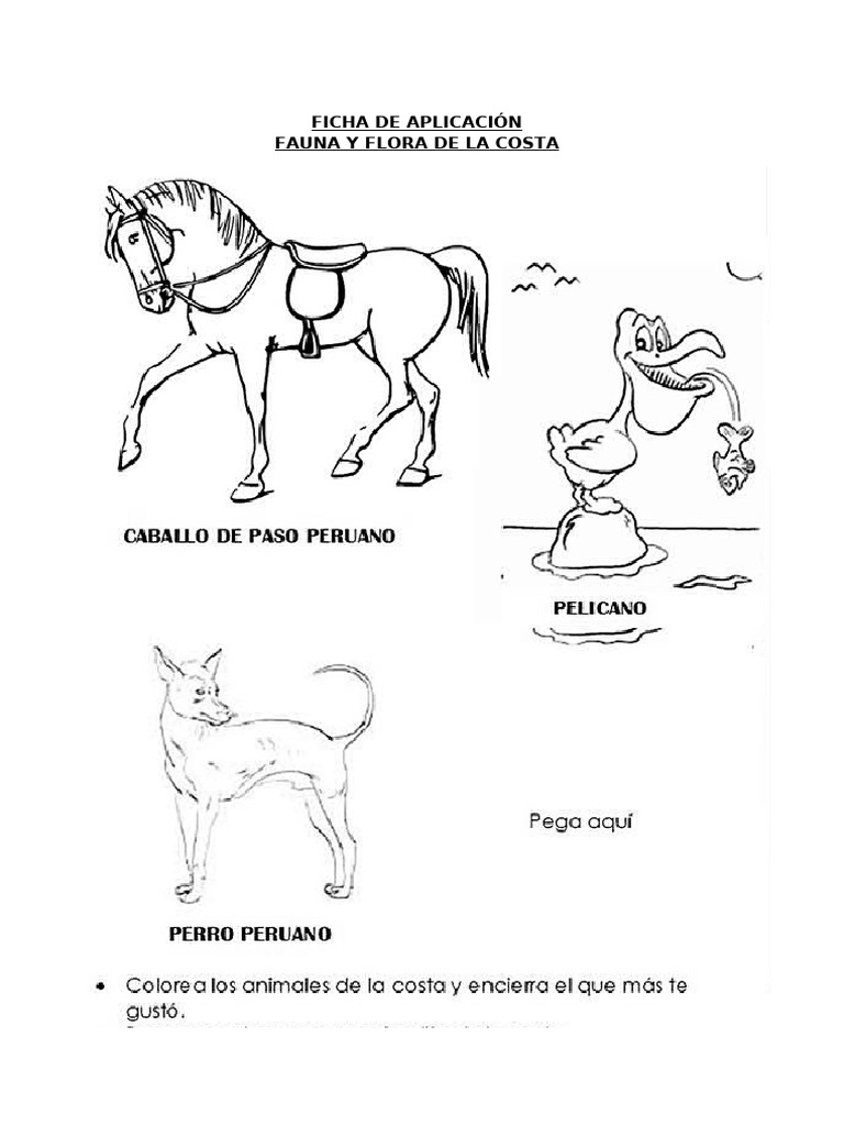 Flora y Fauna de La Costa | PDF