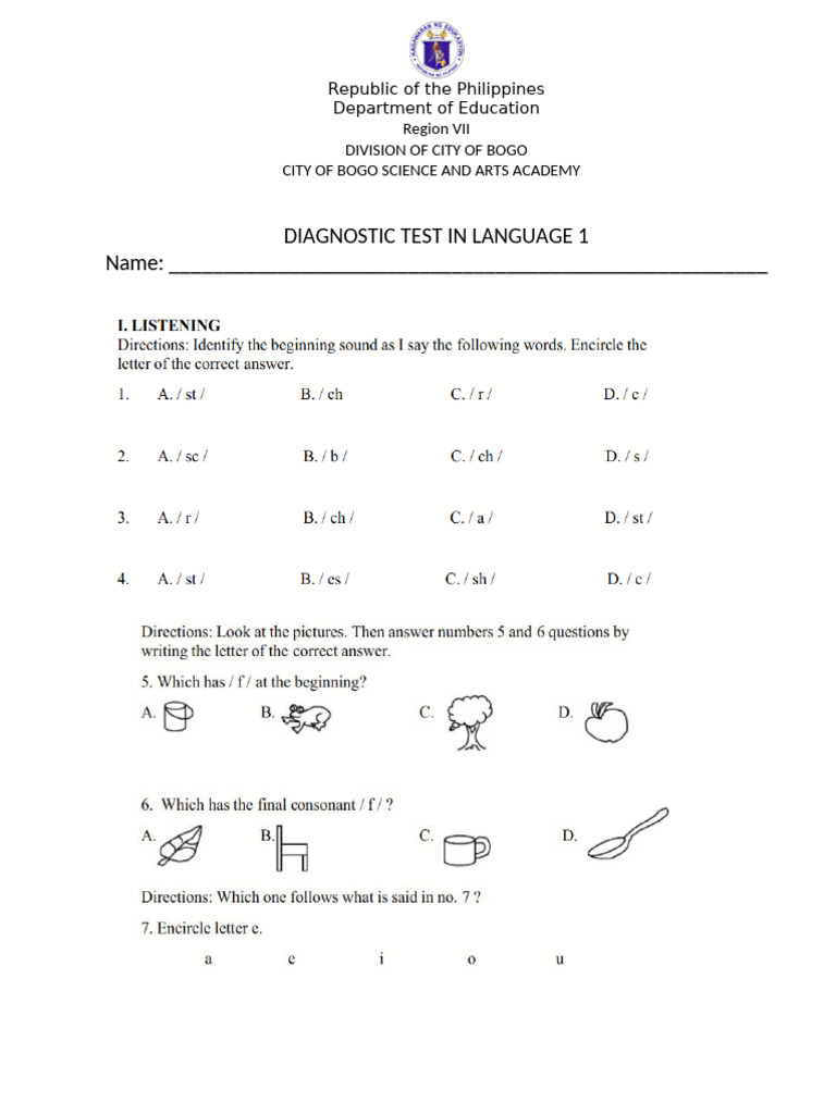 Diagnostic Exam in Language 1 | PDF