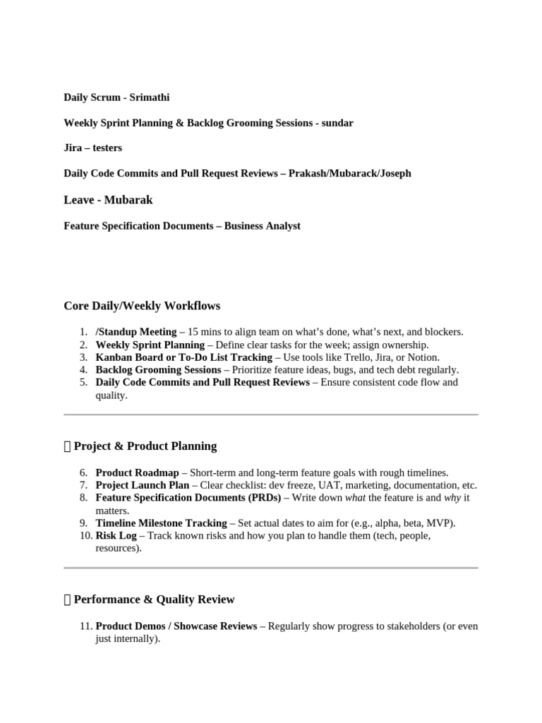 Launch Plan | PDF