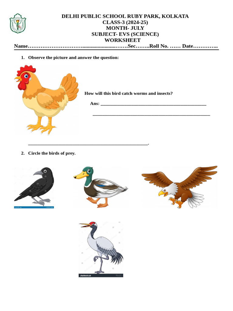 Birds CBQ Worksheet | PDF