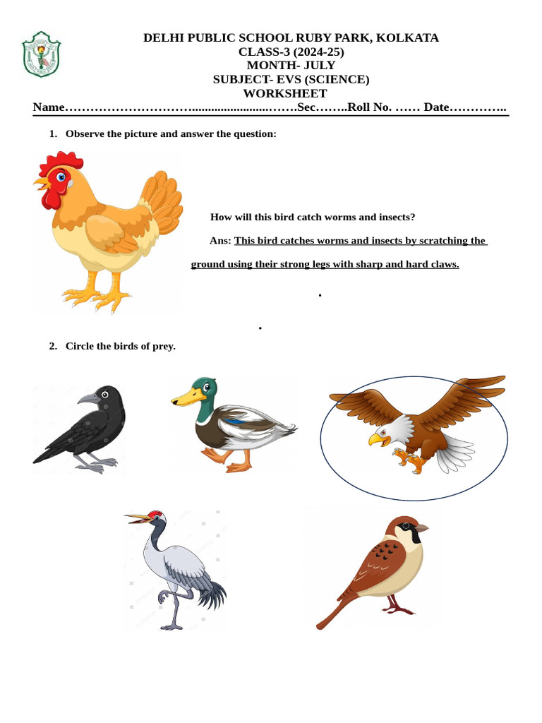 Birds CBQ Worksheet Ans Key | PDF