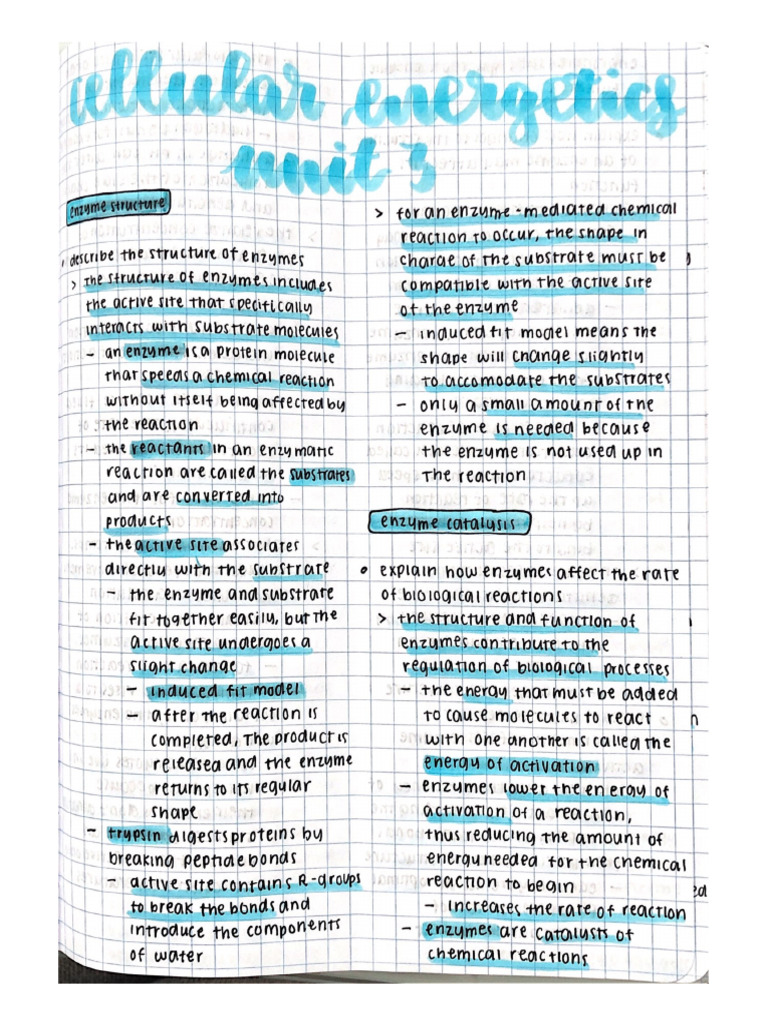 Cellular Energetics | PDF