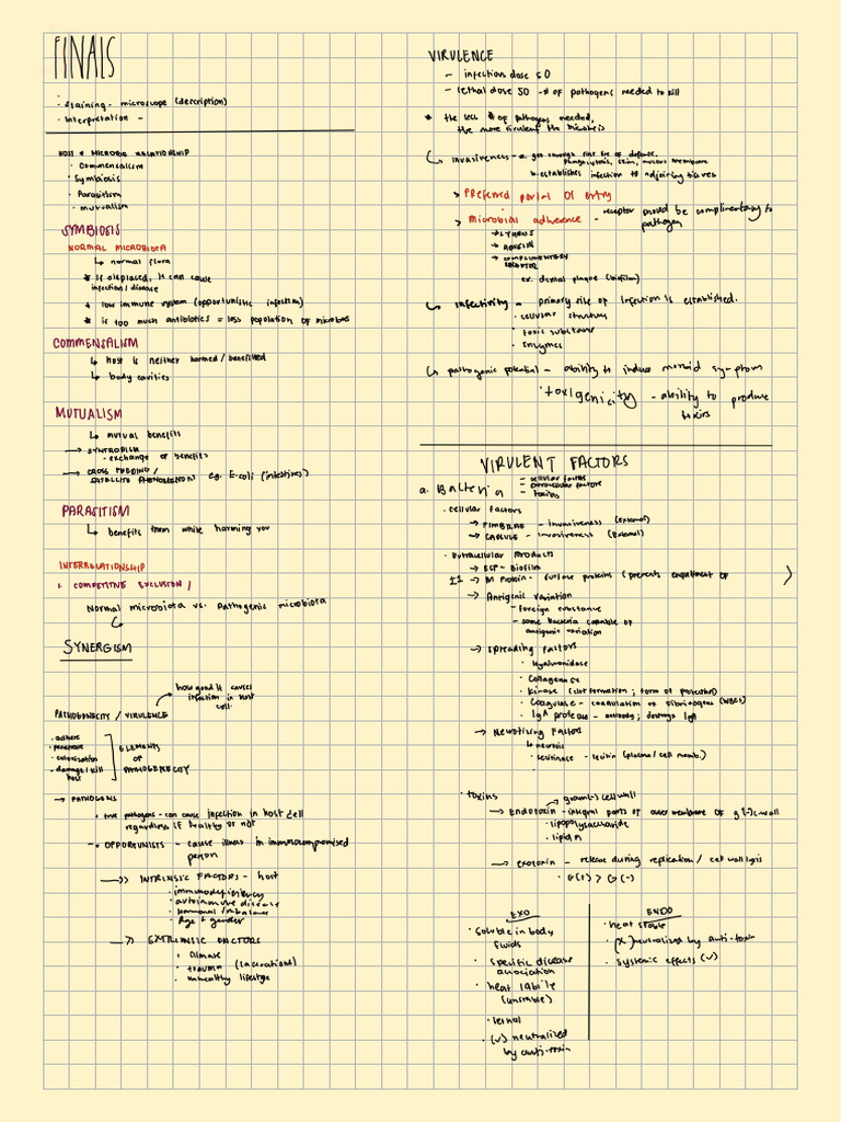 Microbiology Notes Finals | PDF