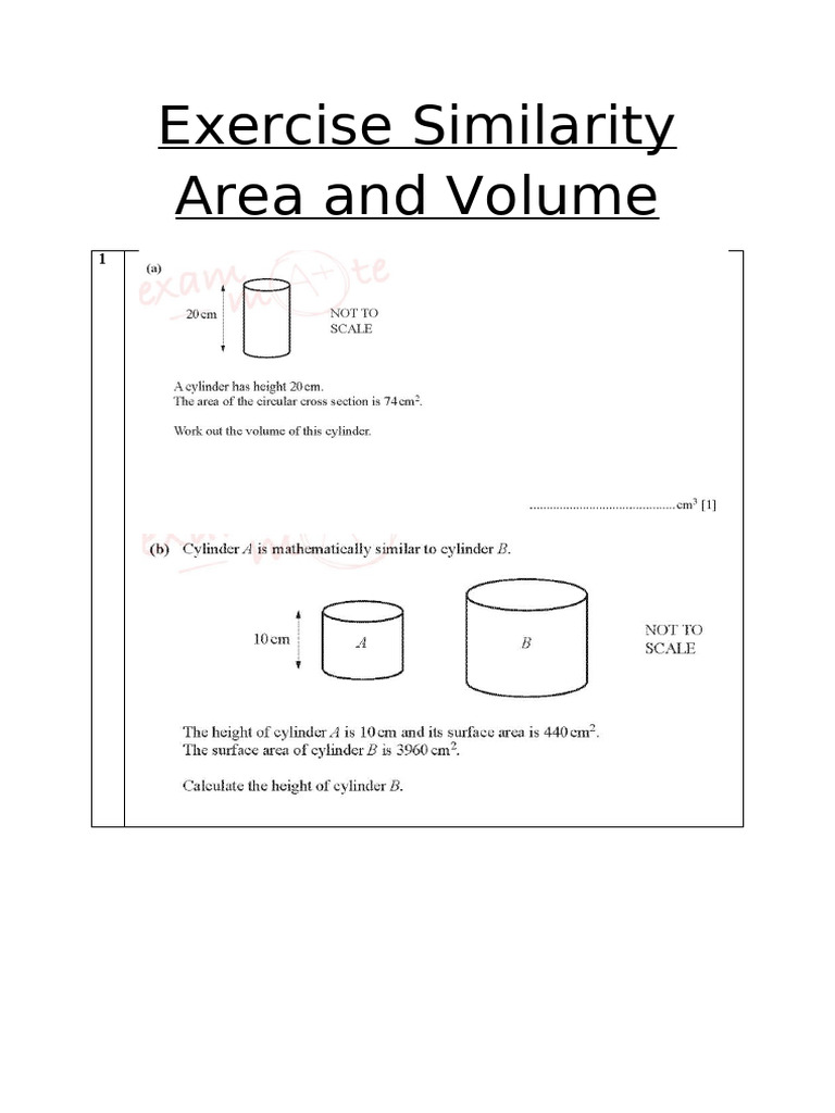Exercise Similarity Area and Volume | PDF