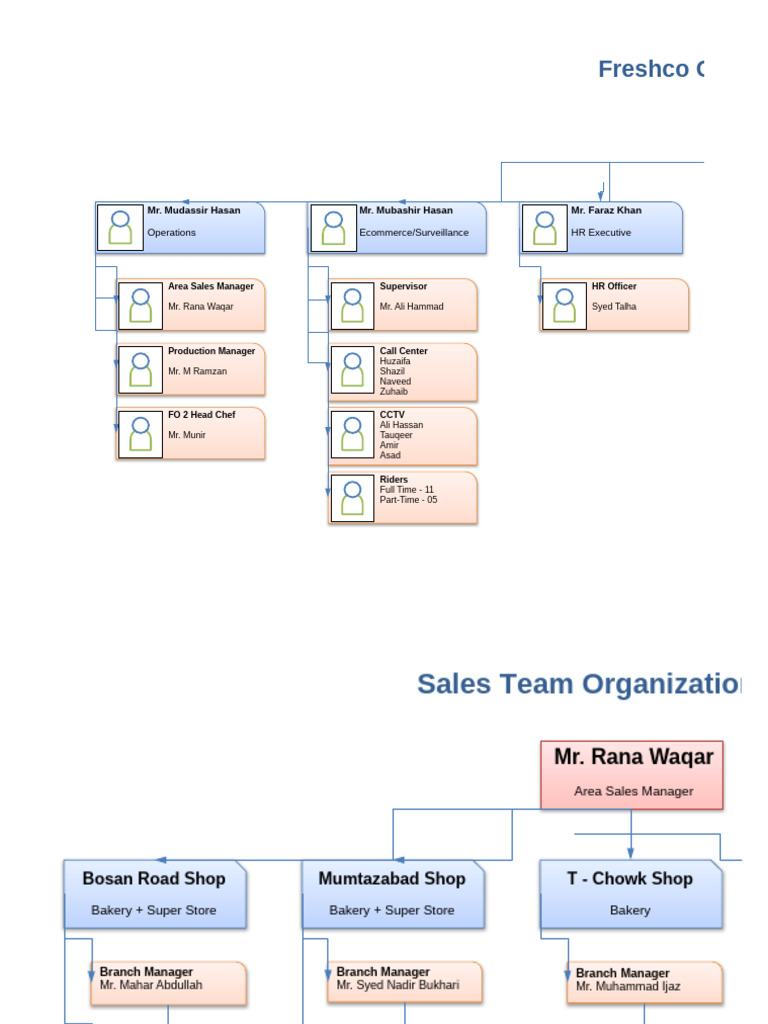 Company Organization Chart | PDF