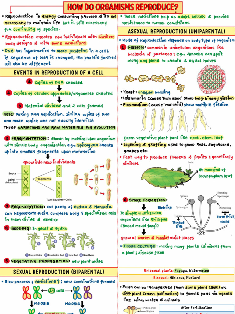 Reproduction | PDF