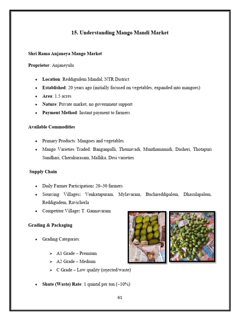 Mango Market | PDF