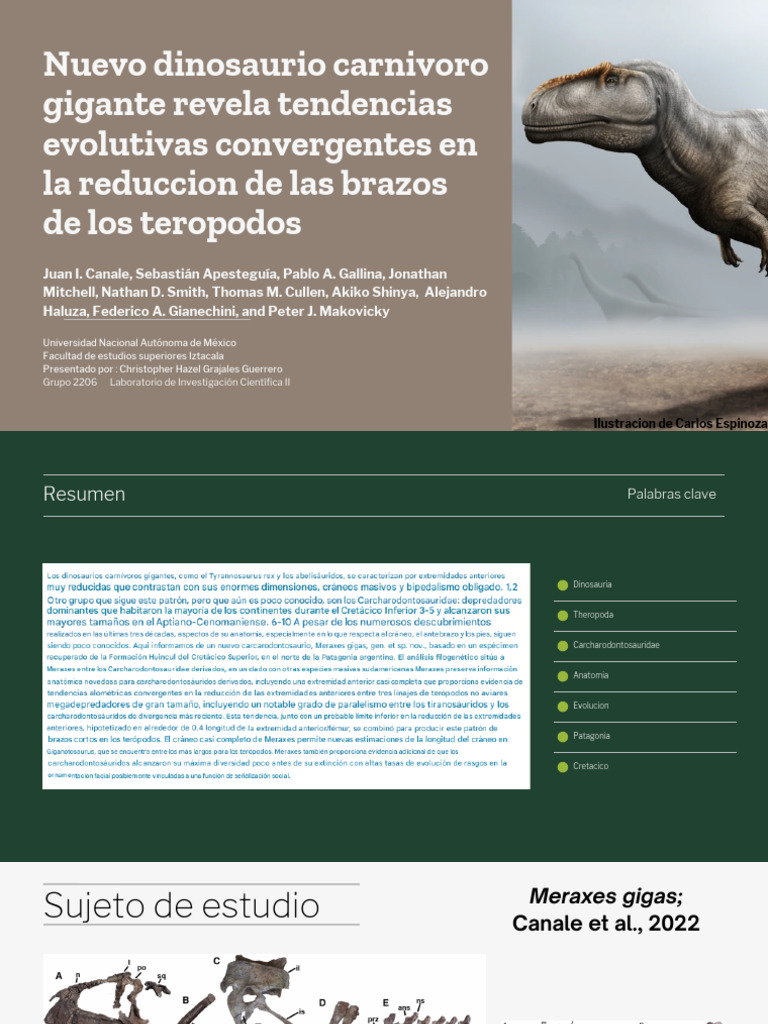 Meraxes Gigas - 20250528 - 112505 - 0000 | PDF | Dinosaurios Mesozoicos