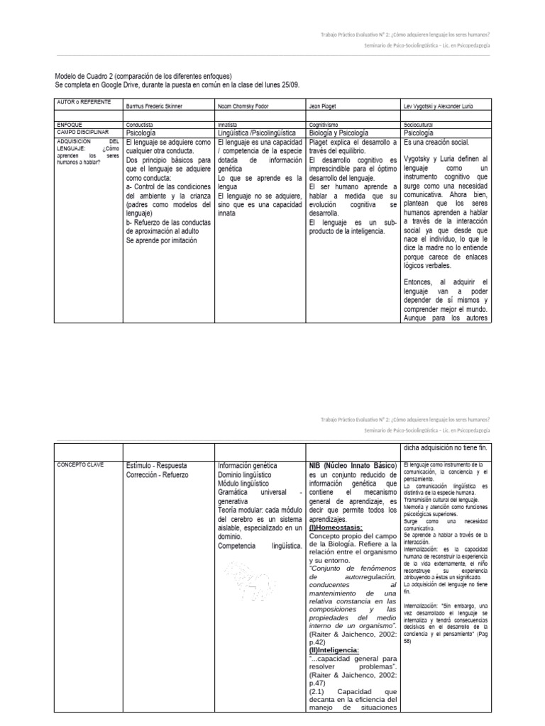 TPE 2 Modelo de Cuadro 2 | PDF | Aprendizaje | Aquisición de idioma