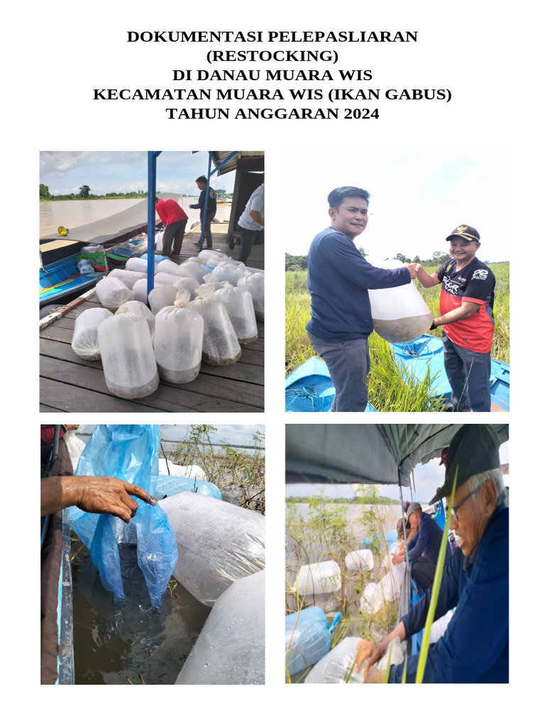Dokumentasi Pelepasliaran Muara Wis (Gabus) | PDF