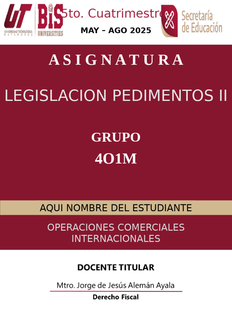 2025 - Formatos Pedimentos II | PDF