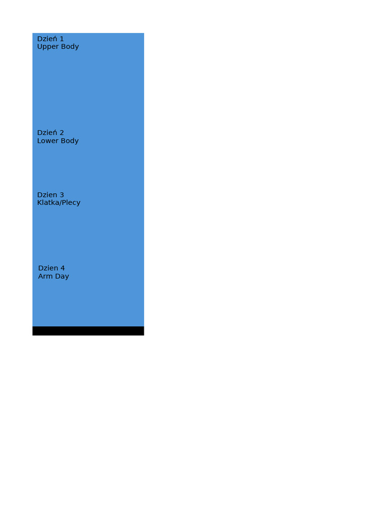 Workout Plan Leon Dichting | PDF
