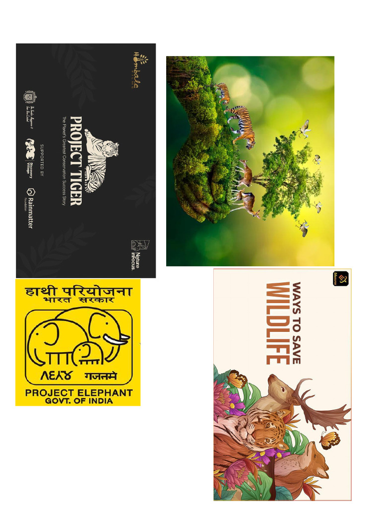 Geo Project Photos | PDF