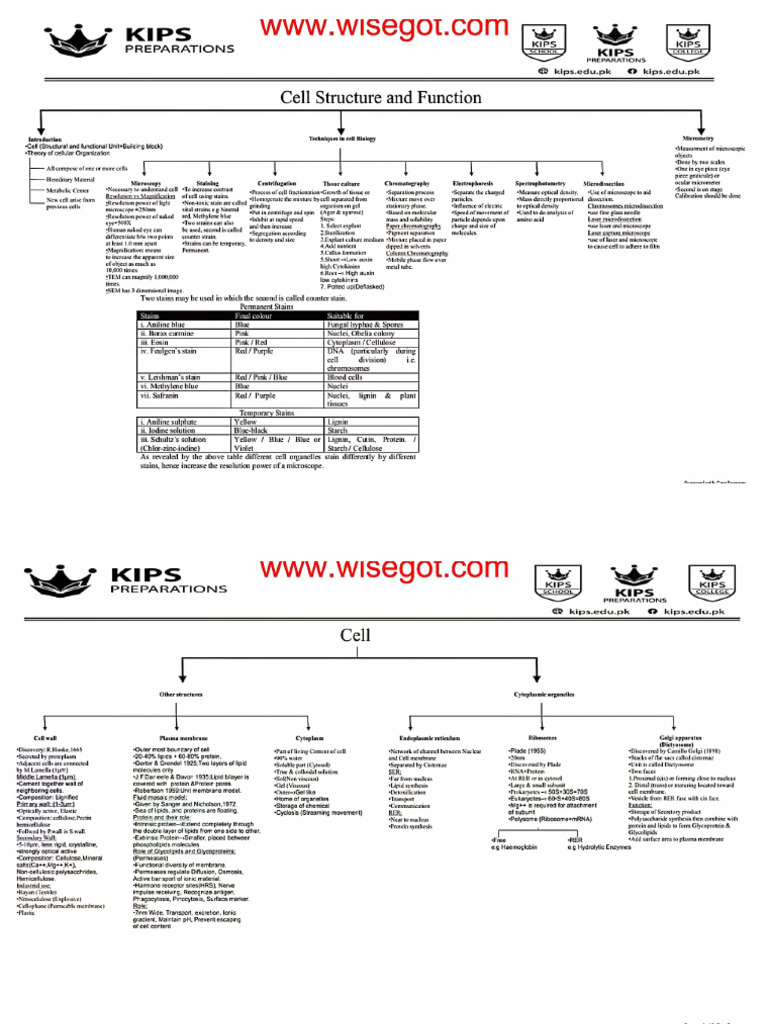 Kips Biology Mindmaps Quick Revision | PDF