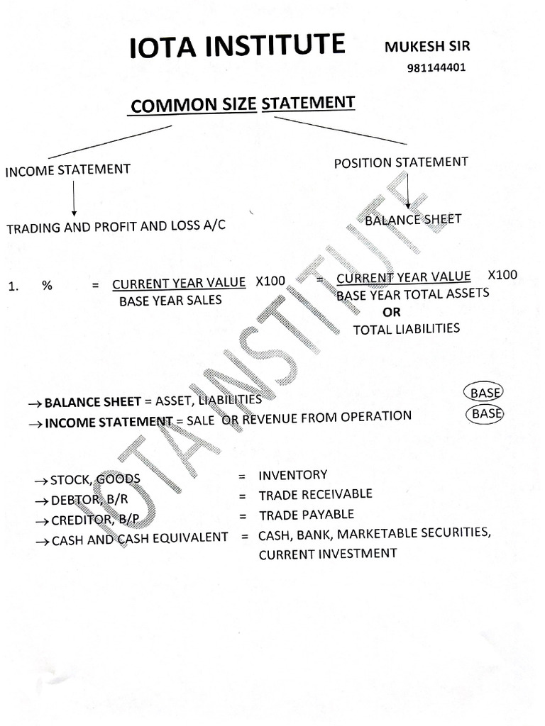 Comparative, Common Size Notes | PDF