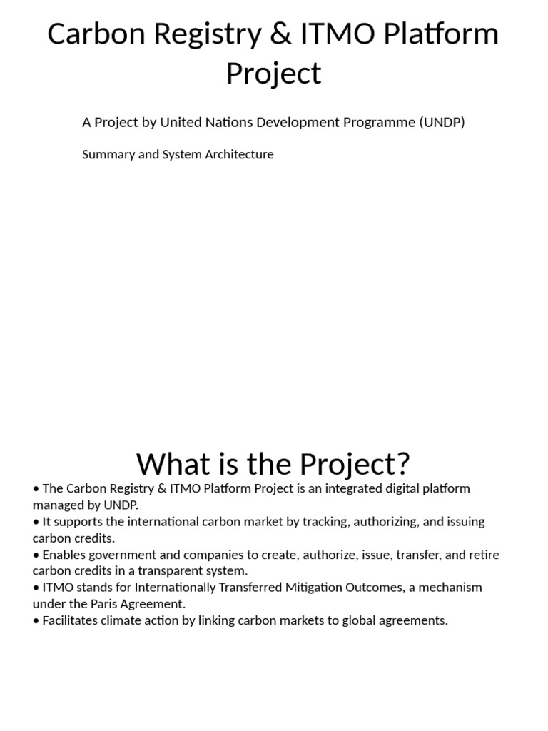 Carbon Registry ITMO Project UNDP Branded | PDF | Databases ...